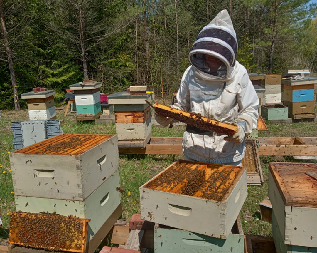 Local beekeepers turn orchard discovery into a buzzing success story ...